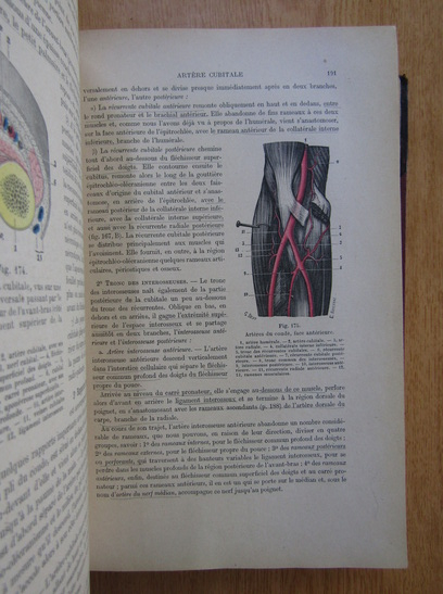 L. Testut - Traite D'Anatomie Humaine (volumul 2) - Cumpără